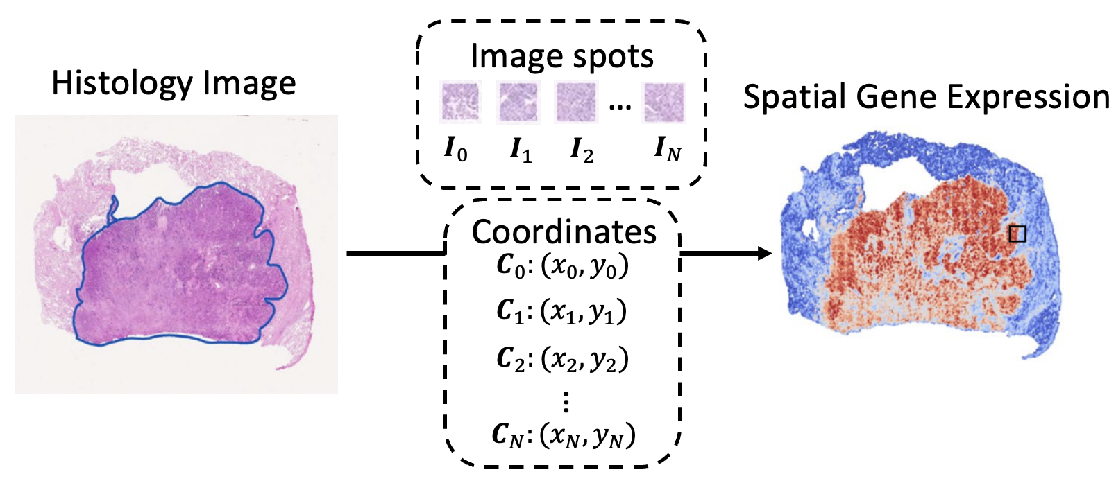 Graph and Geometric Learning Lab